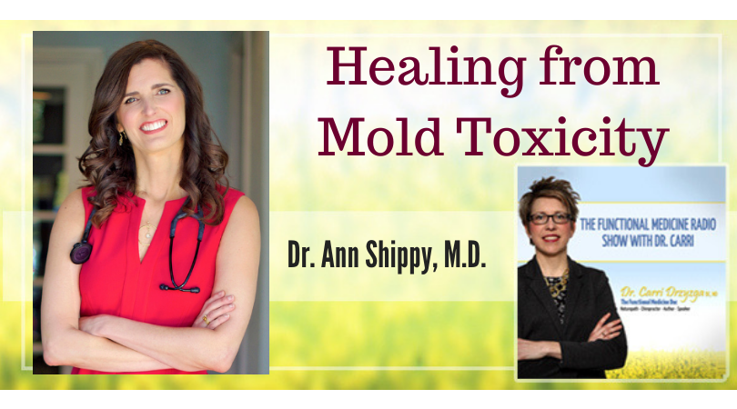 Mold Toxicity and Exposure with Dr. Ann Shippy - The Functional ...